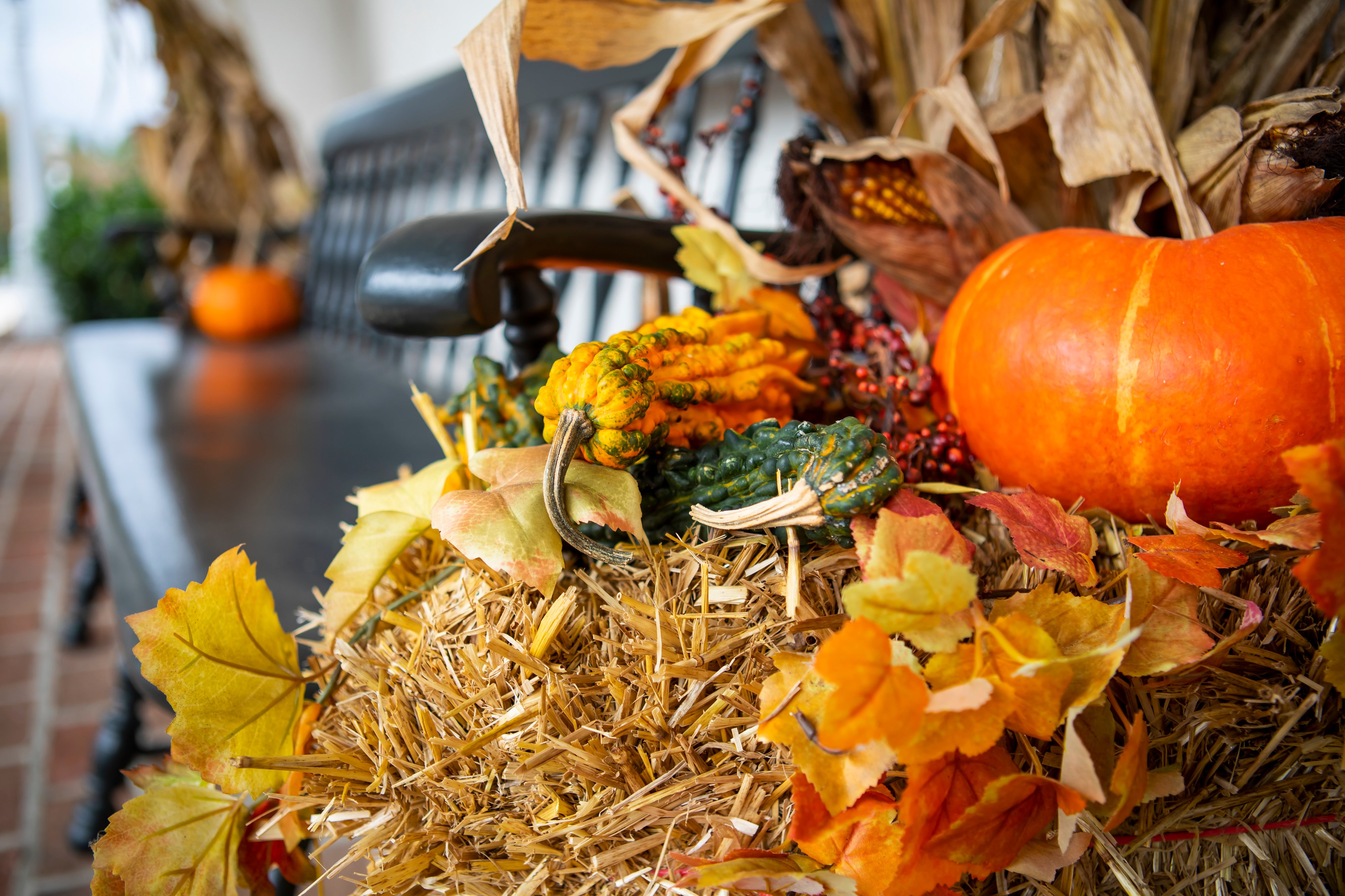 Fall Into Autumn At LCC: Our Upcoming Fall Events